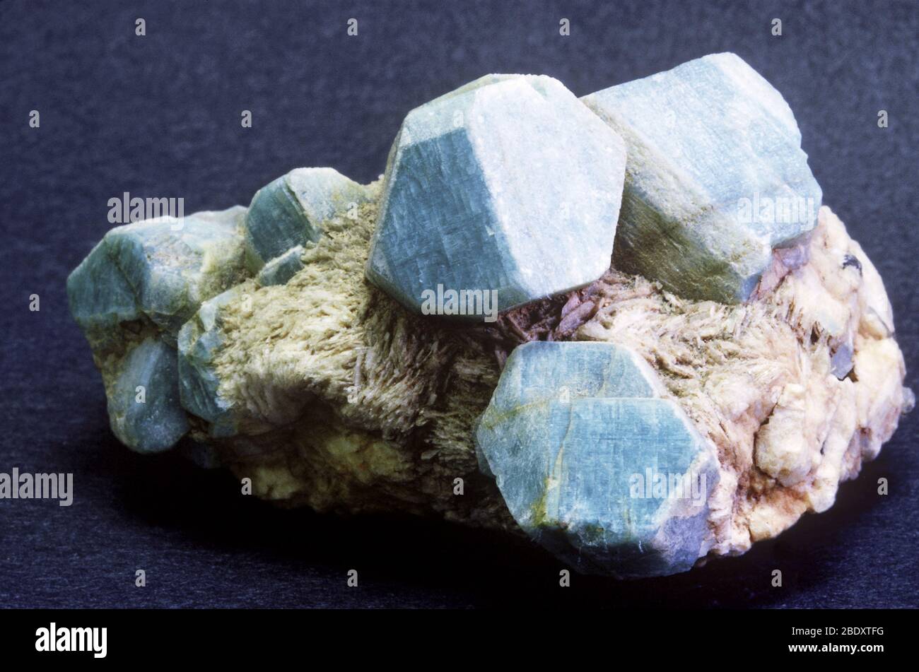 Amazon stone hi-res stock photography and images - Alamy