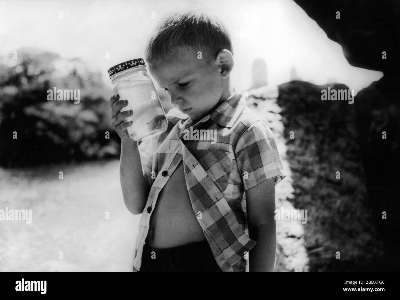 Boy and Fish Stock Photo - Alamy