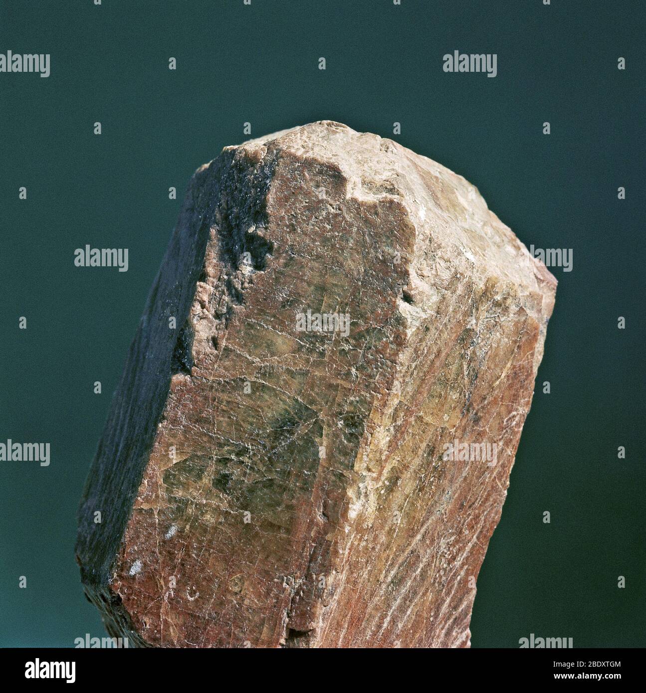 Phosphate mineral rock hi-res stock photography and images - Alamy