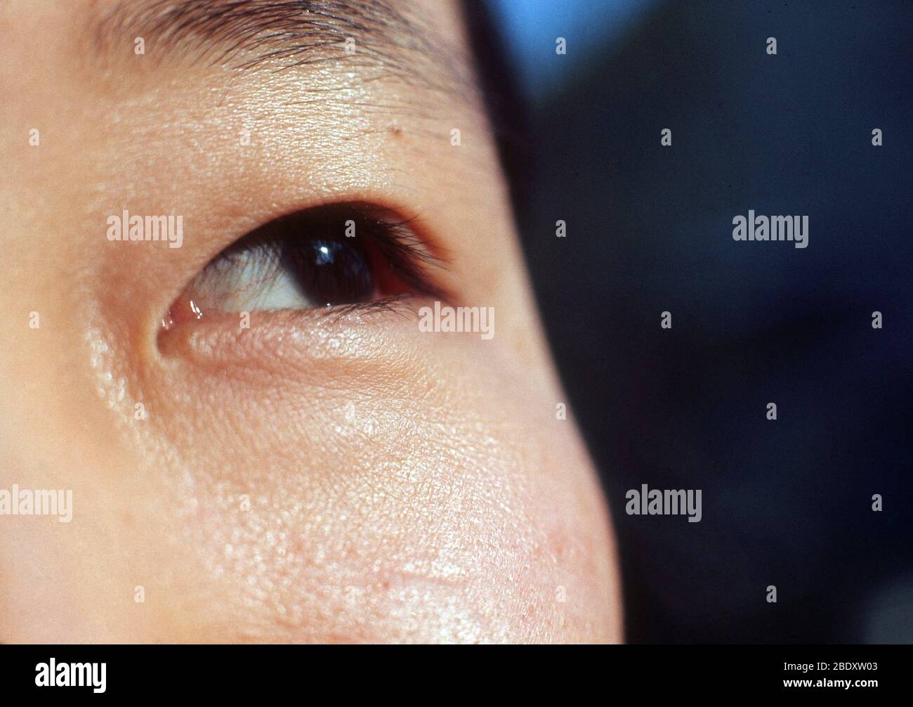 Japanese Female Eye Stock Photo - Alamy