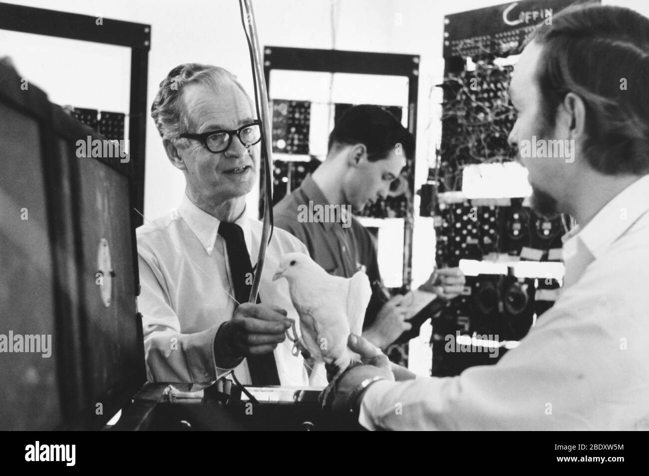 B f skinner hi-res stock photography and images - Alamy