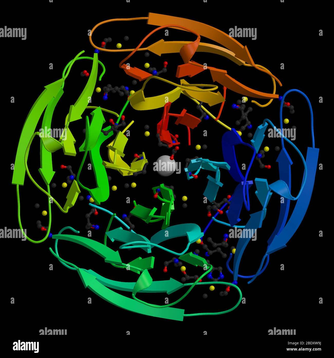 Protein structure model hi-res stock photography and images - Alamy
