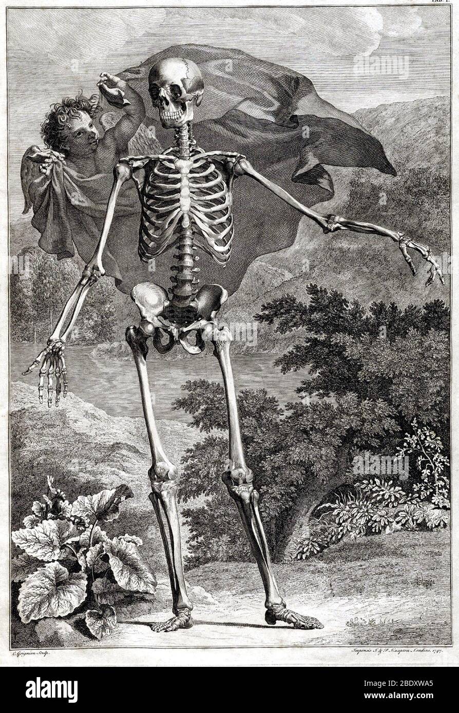 Engraving and etching hi-res stock photography and images - Alamy