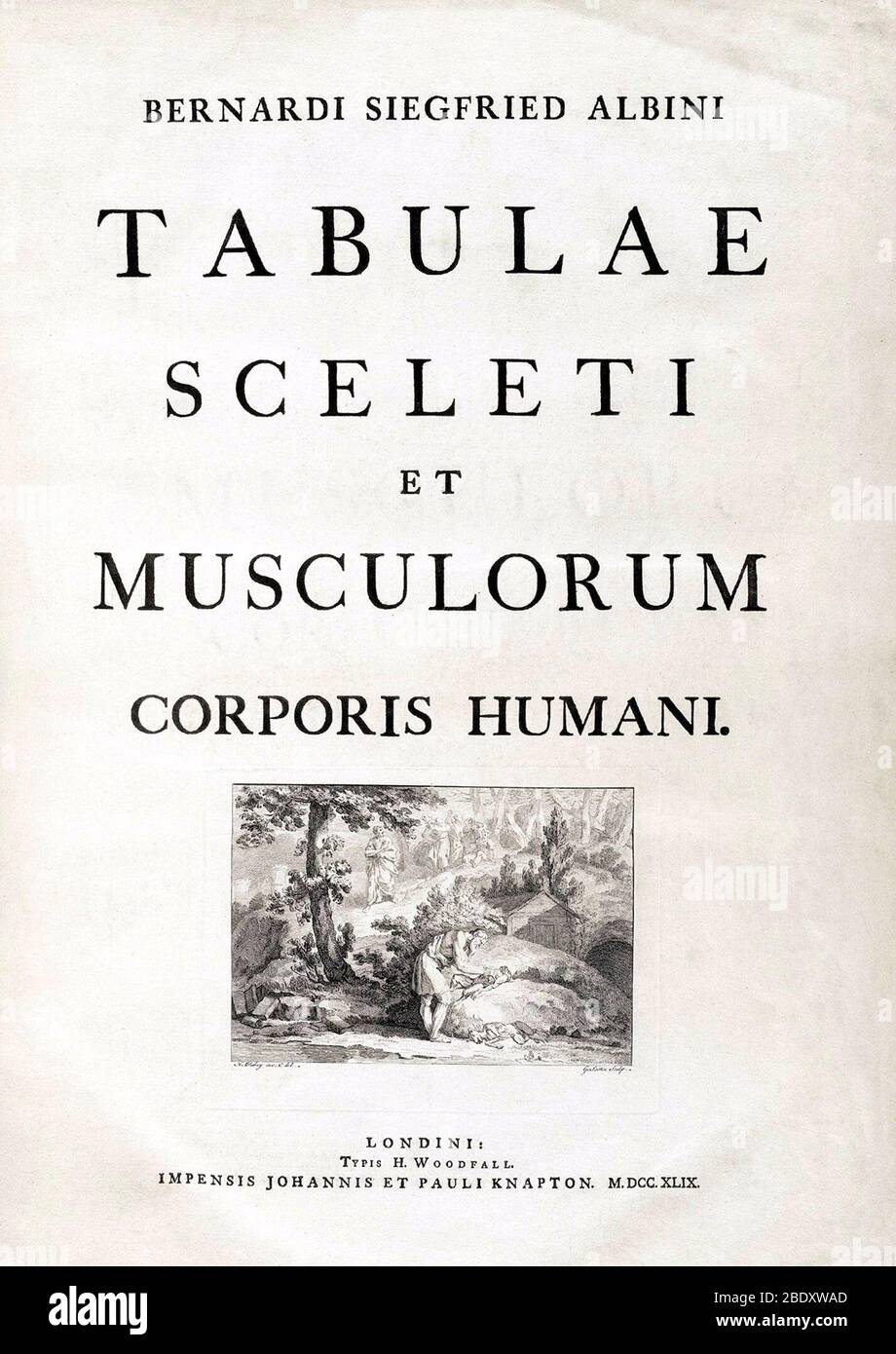 Old anatomy book hi-res stock photography and images - Alamy