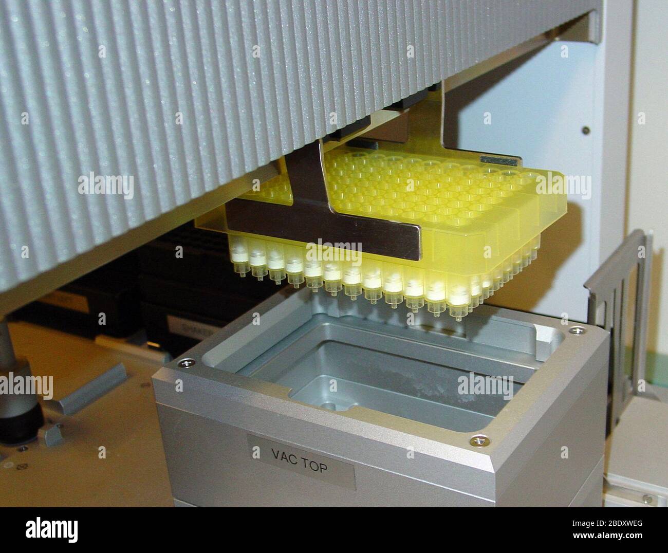 Protein analysis hi-res stock photography and images - Alamy