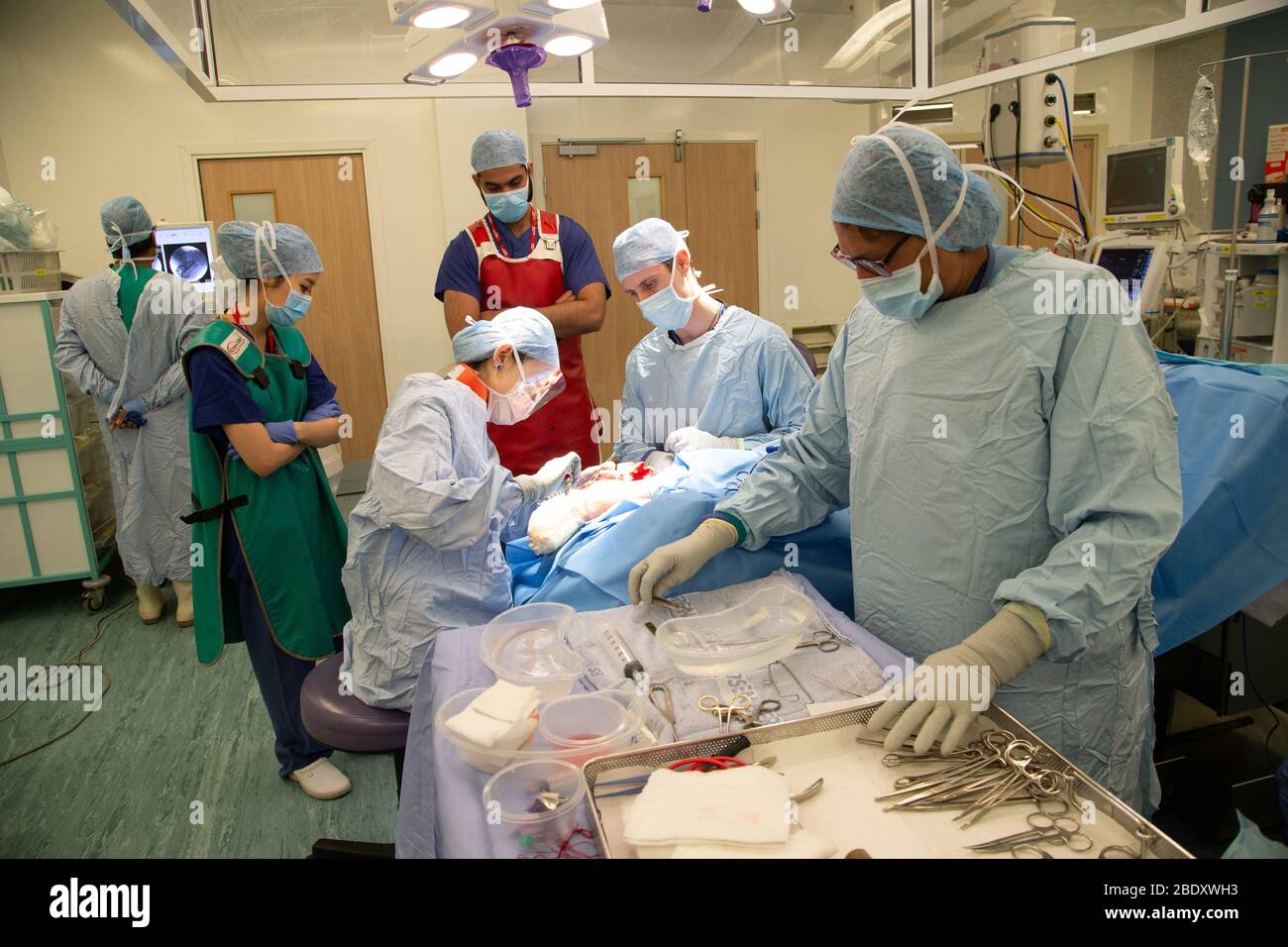 Surgeons and technicians insert a metal plate into the ankle area of a ...