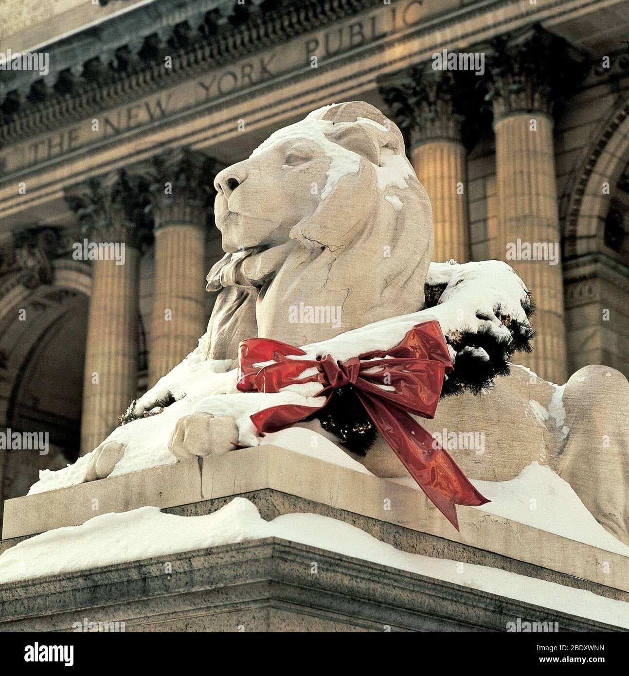 Nyu Library Frank Lloyd Wright