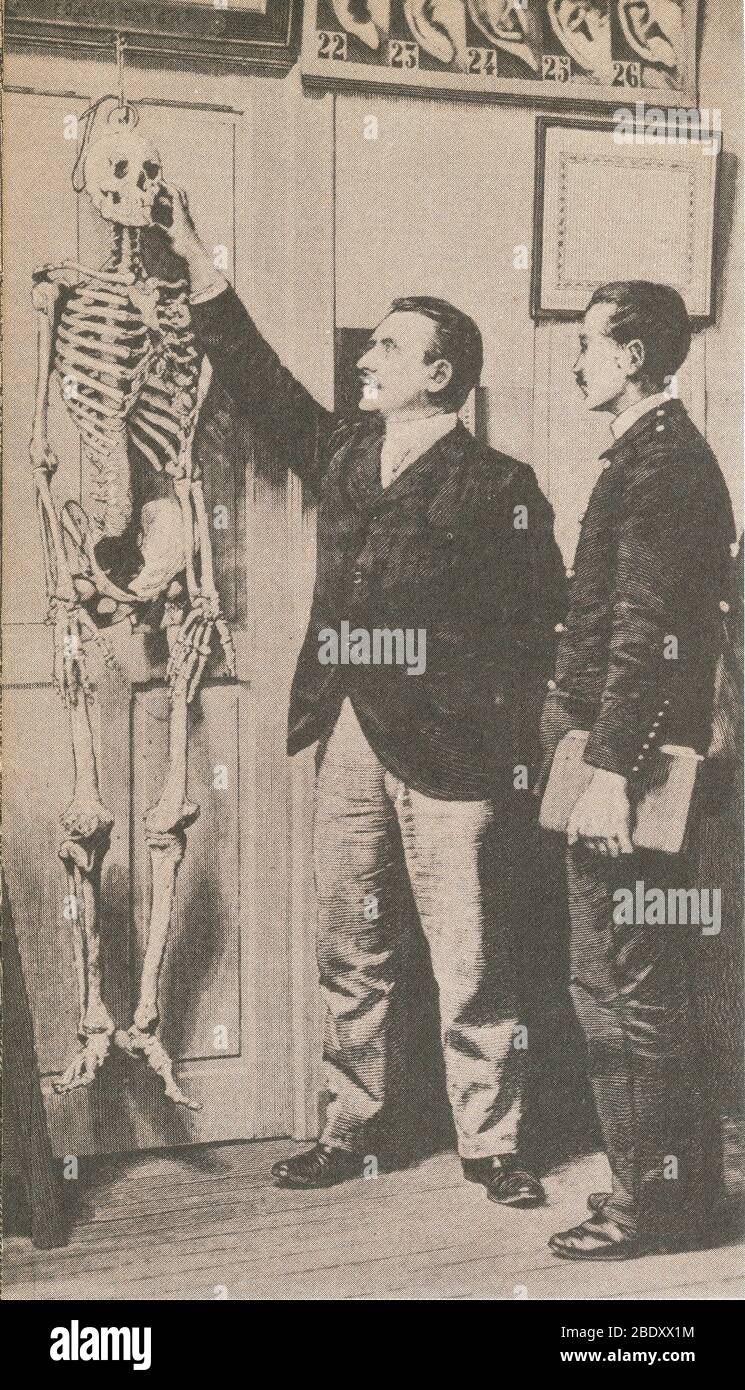 Anthropometry hi-res stock photography and images - Alamy