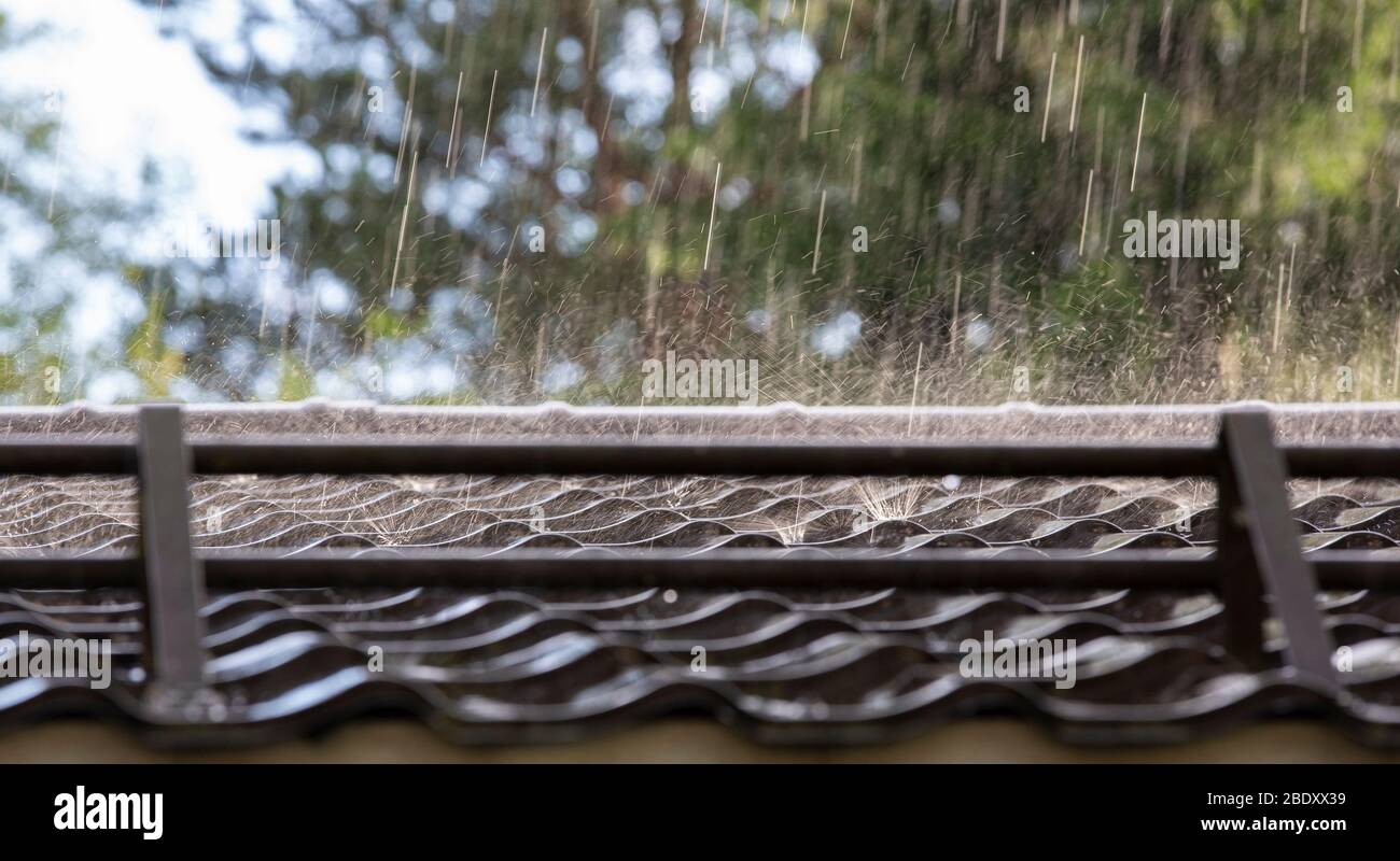 Pouring rain hitting tin roof , Finland Stock Photo - Alamy