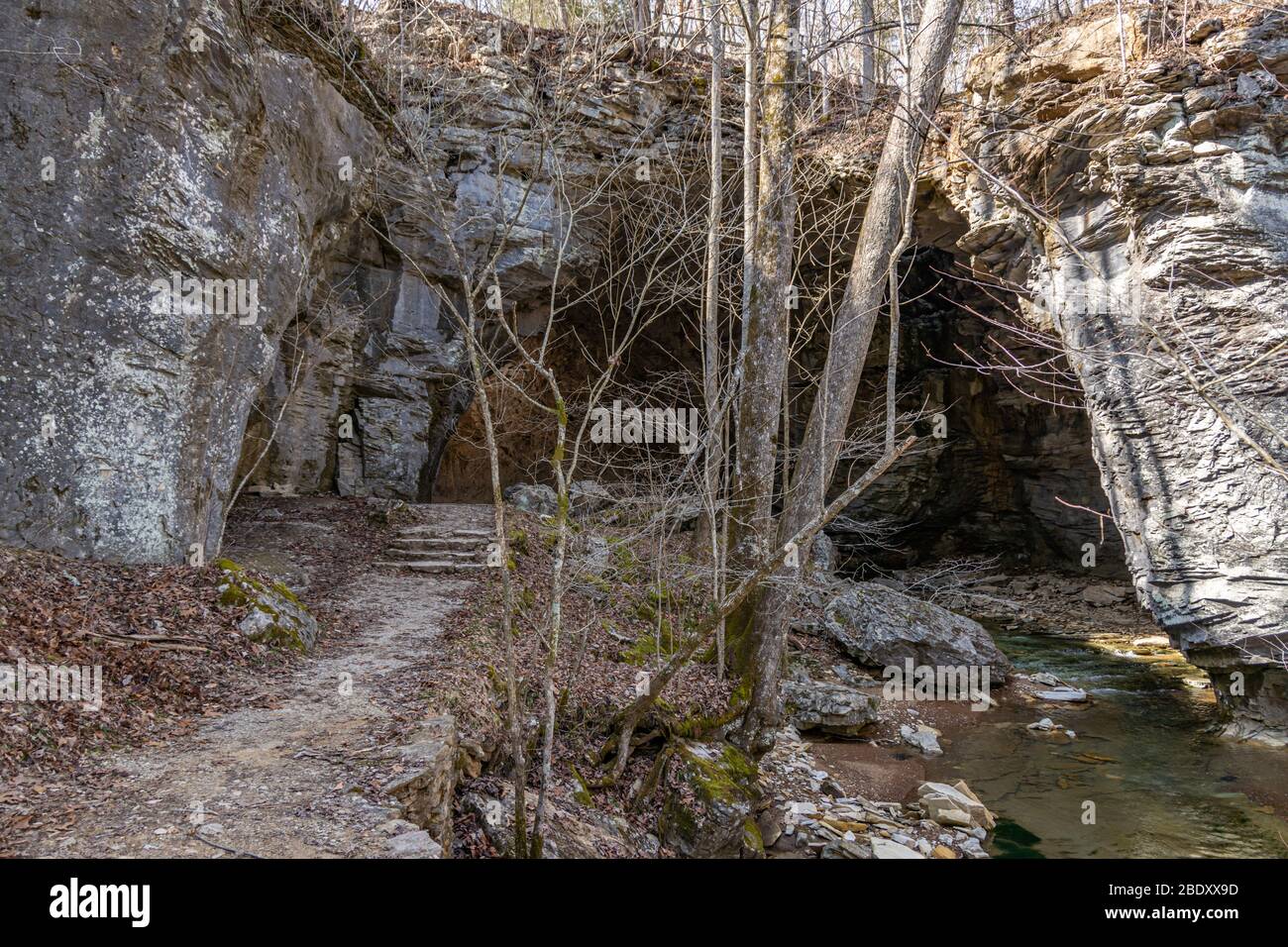 Nature Bridge limestone arch in Carter Cave State Park in Kentucky ...