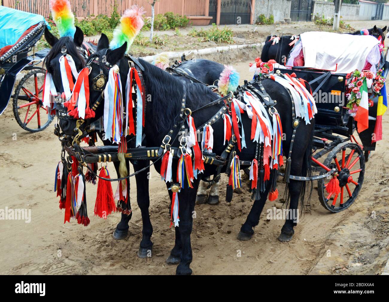 Black Horses And Carriage High Resolution Stock Photography and Images ...