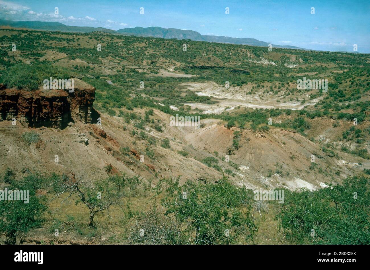 Olduvai Gorge, Tanzania Stock Photo - Alamy