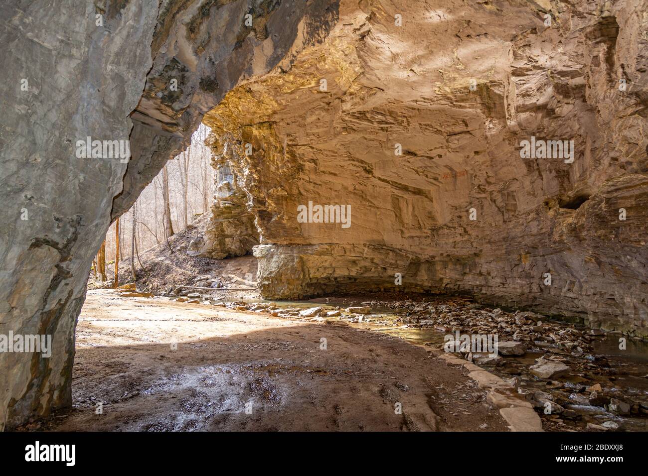 Nature Bridge limestone arch in Carter Cave State Park in Kentucky ...