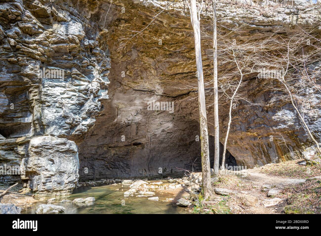 Nature Bridge limestone arch in Carter Cave State Park in Kentucky ...