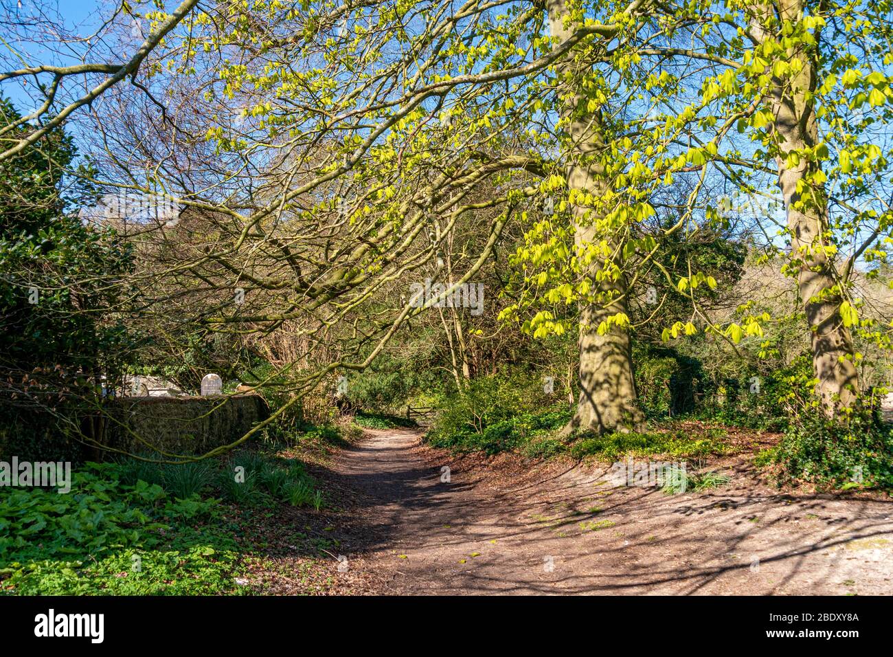 The Monarch's Way Long Distance Path as it passes St John the Baptist ...