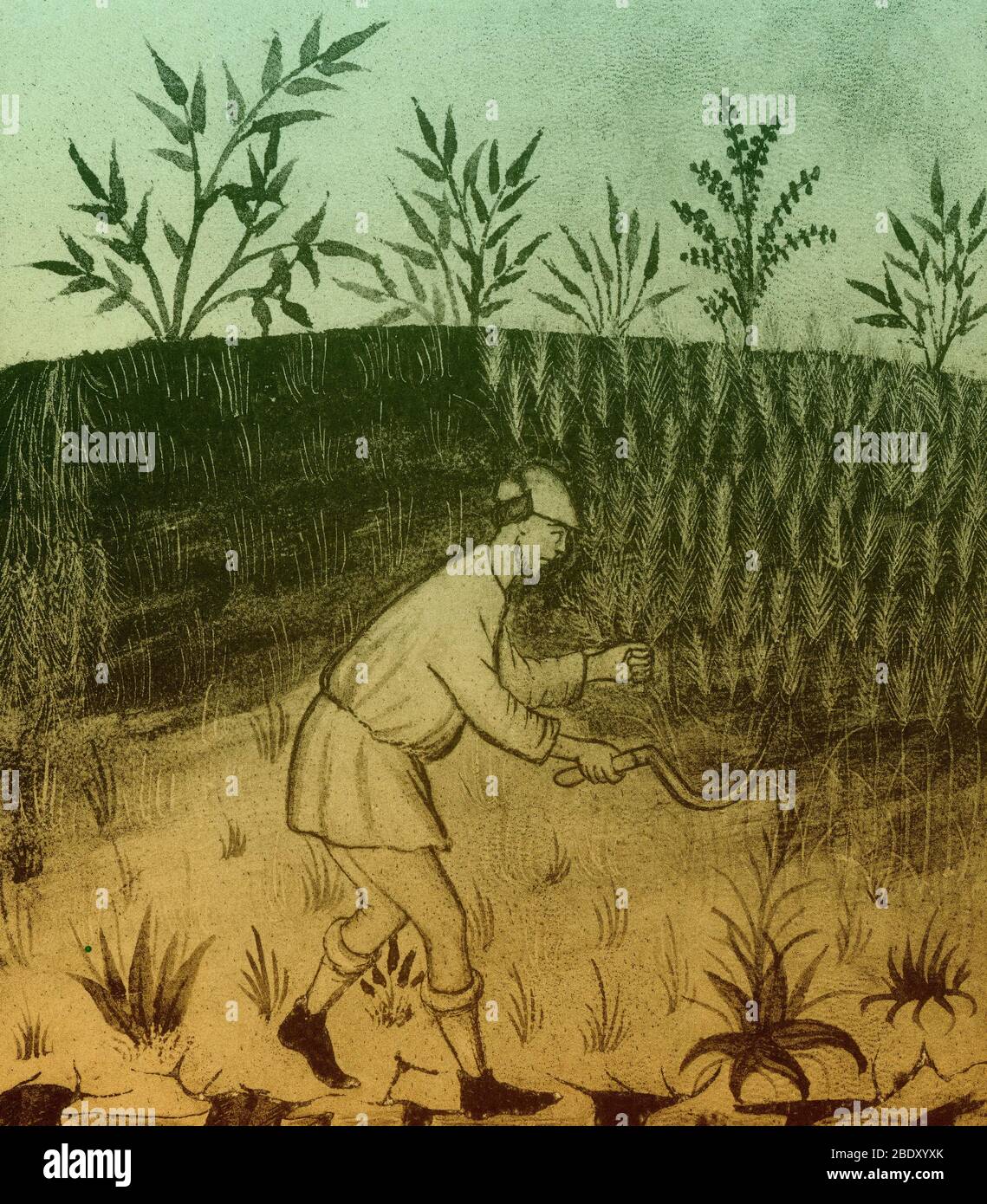 Agriculture, Medieval Farming Stock Photo - Alamy