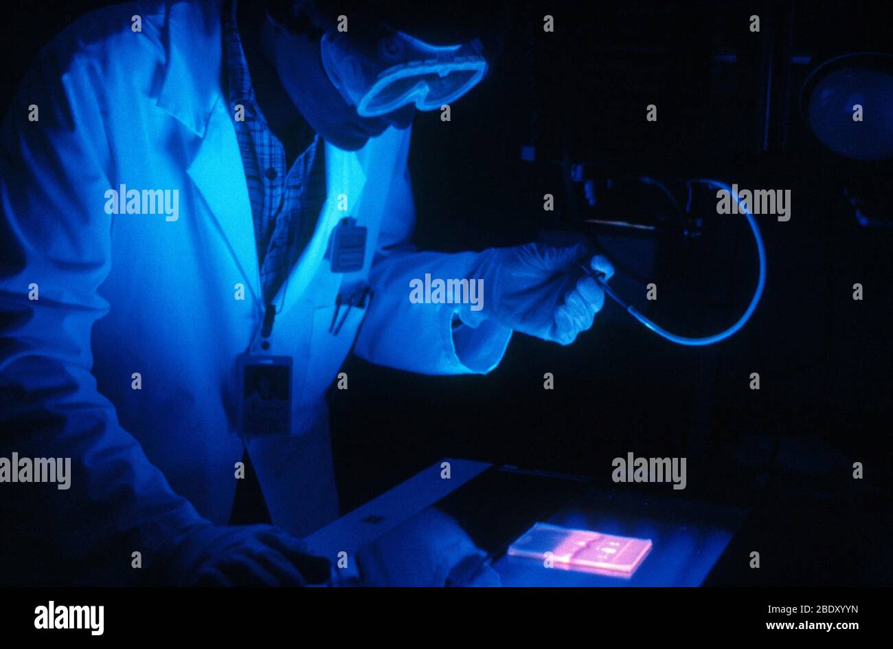 Photographing dna hi-res stock photography and images - Alamy