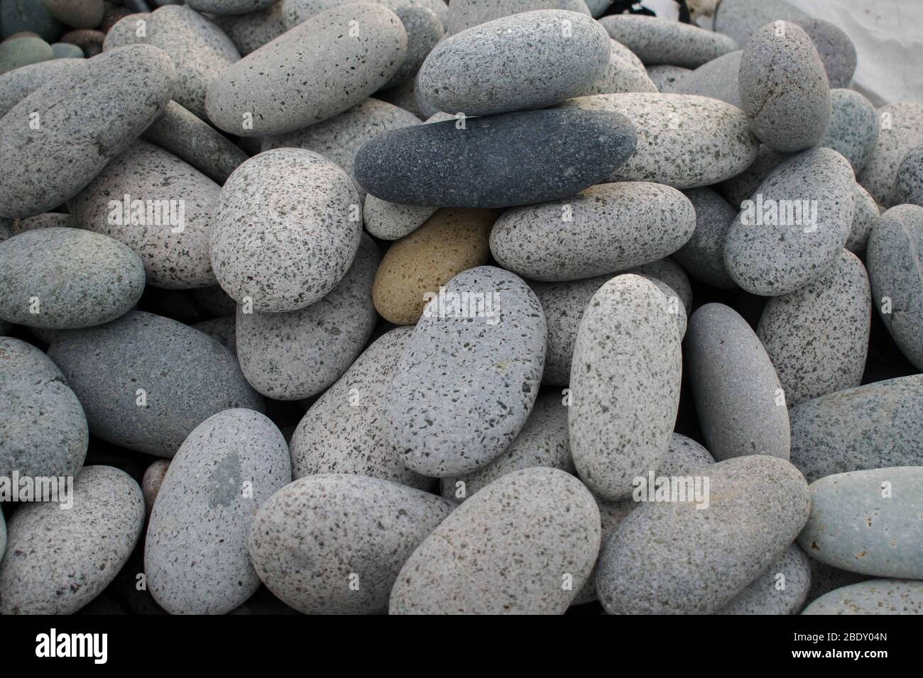 Gray flat smooth pebble stones. Beach stones abstract Stock Photo - Alamy