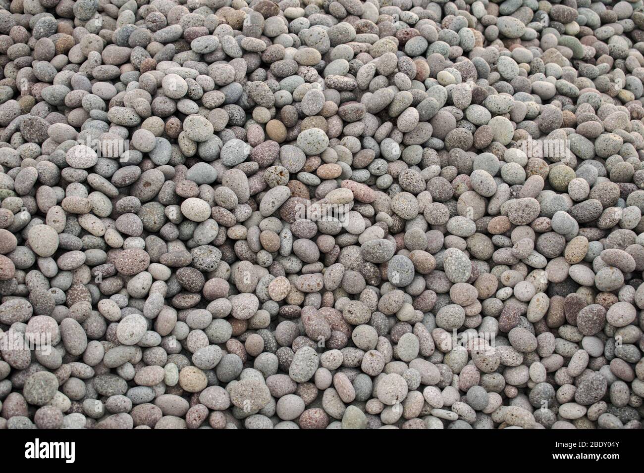Bunch of small gray round pebblestones. Beach stones on a pile Stock ...