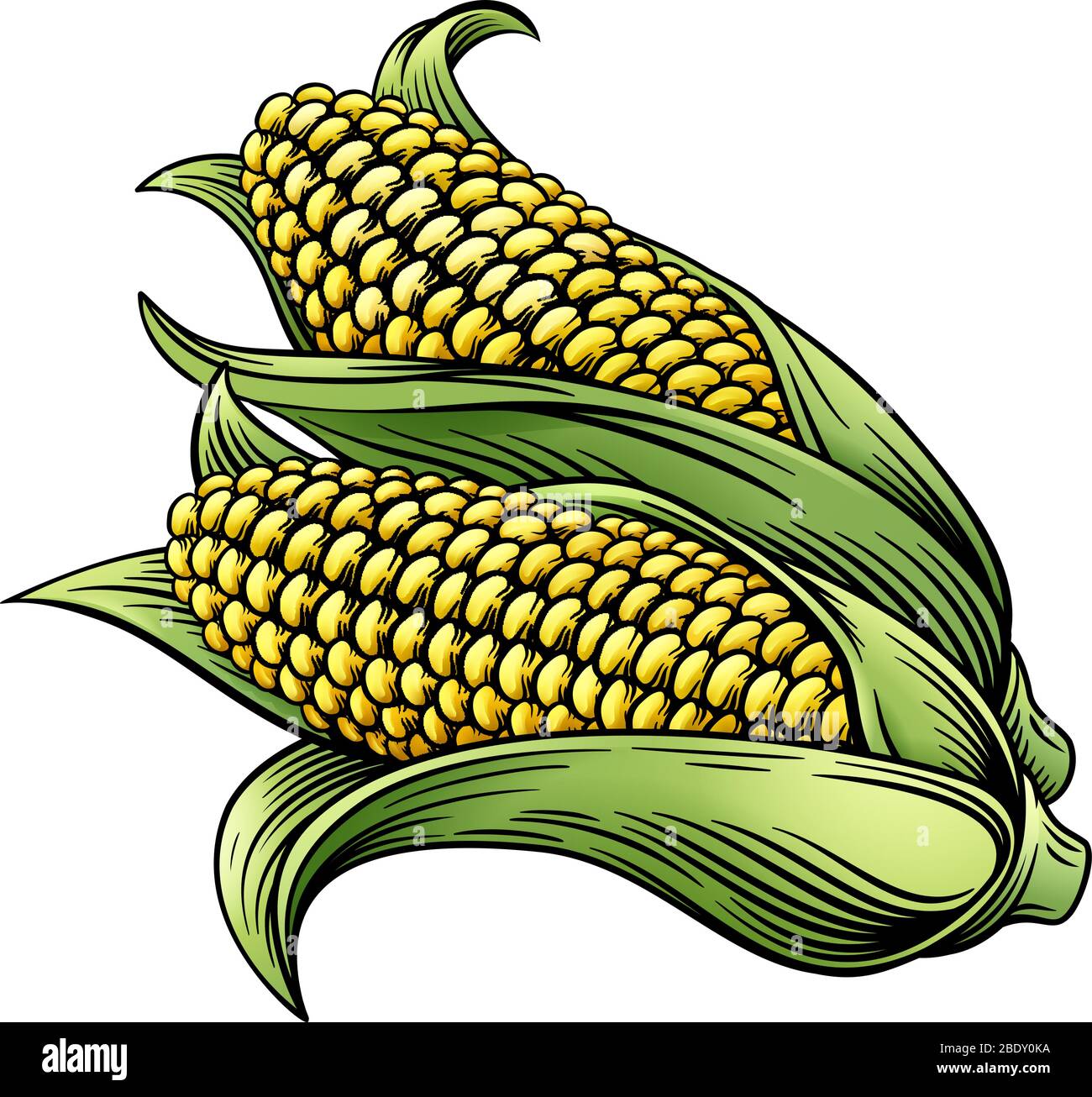 Native American Corn Clip Art Native Indian Corn Cut Out Stock Images