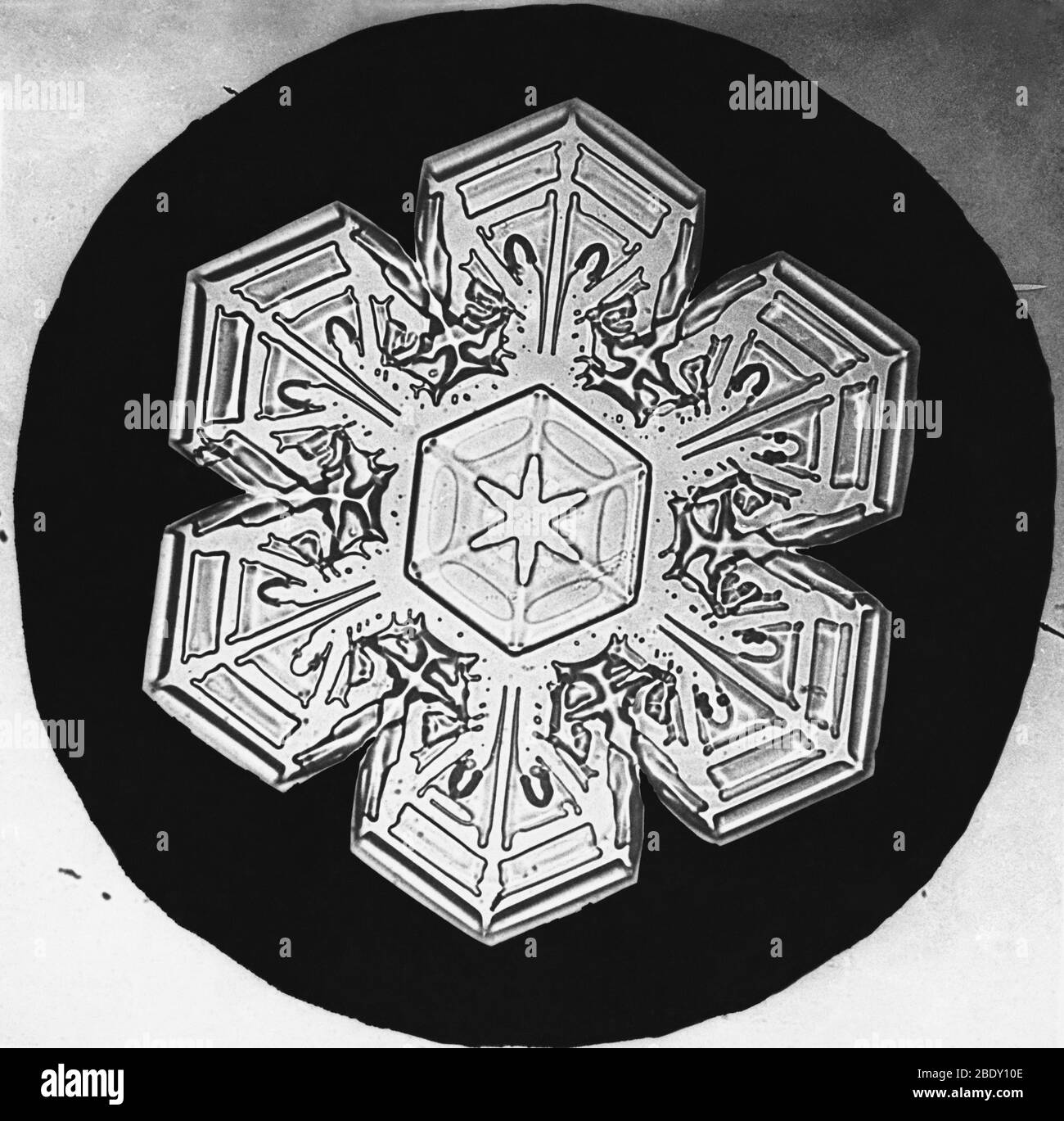 Fractal geometry hi-res stock photography and images - Alamy