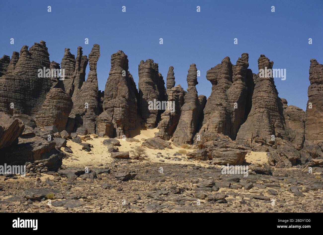 Differential Weathering Geology