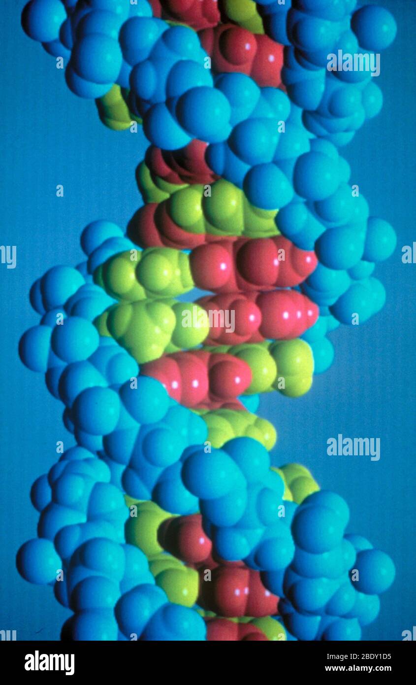 Amino acids protein illustration hi-res stock photography and images ...