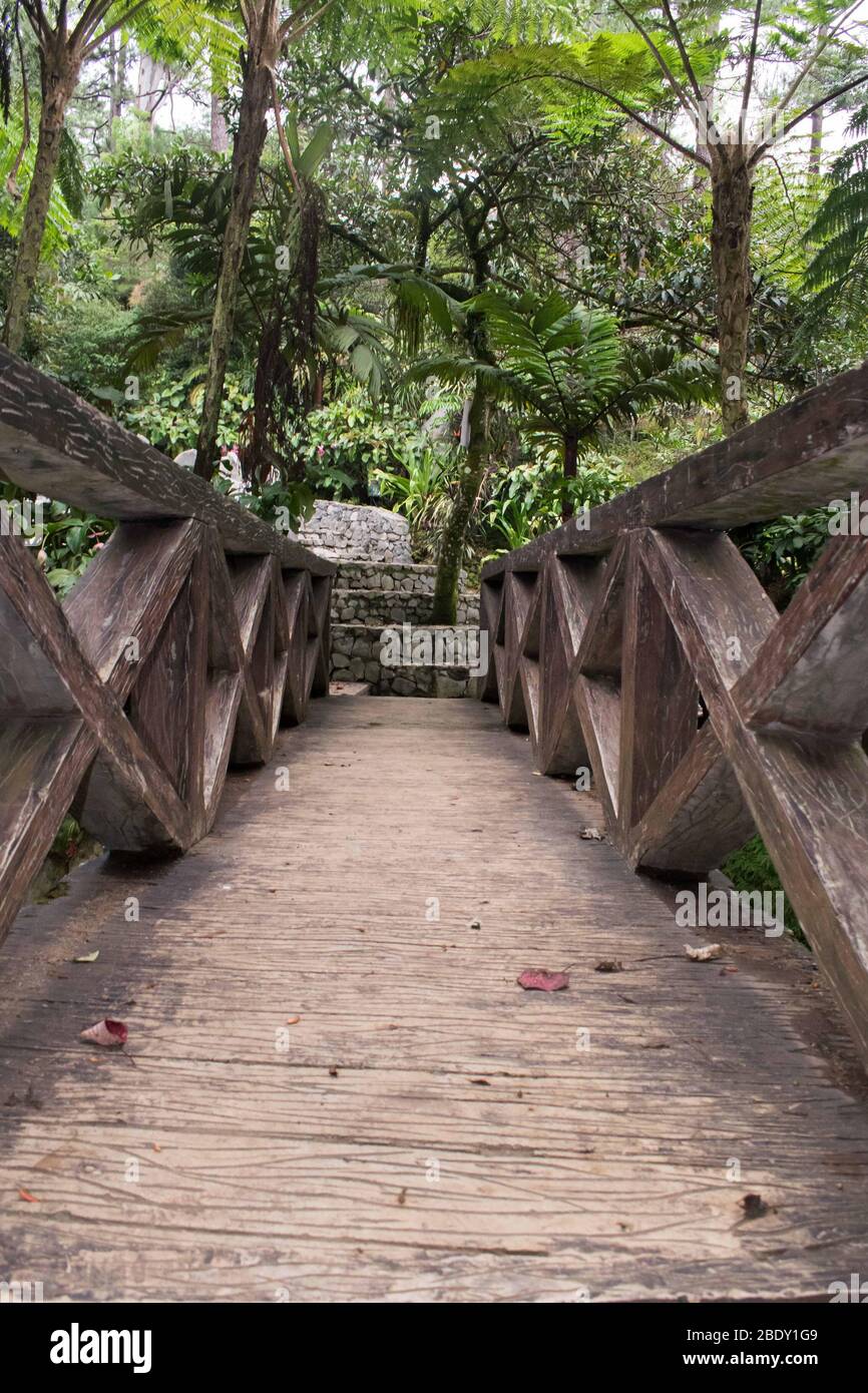 Small garden wooden fence fencing hi-res stock photography and images ...