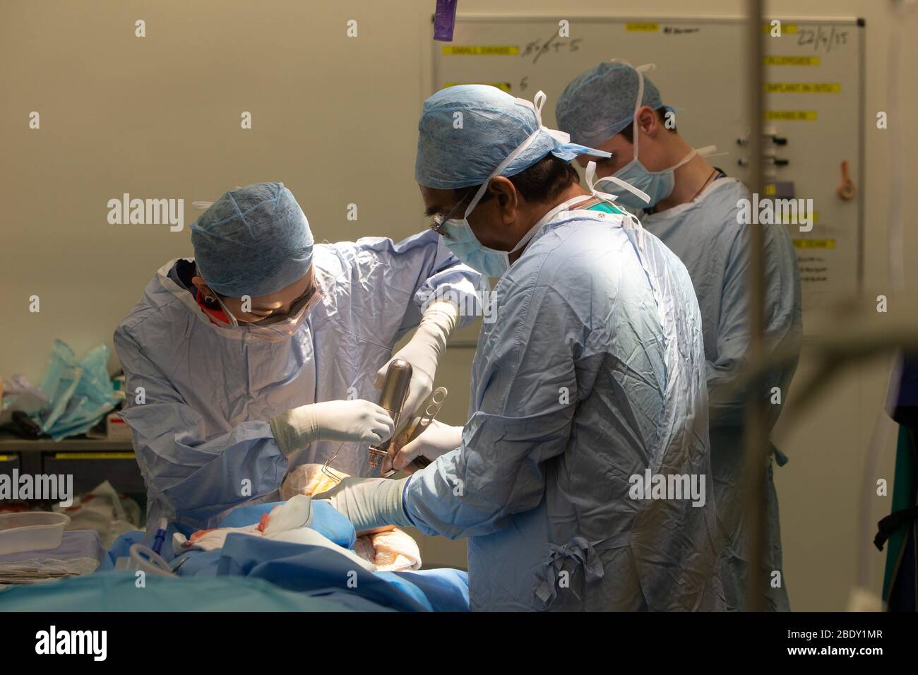 NHS surgeons and nurses perform surgery in an NHS Hospital.The ...