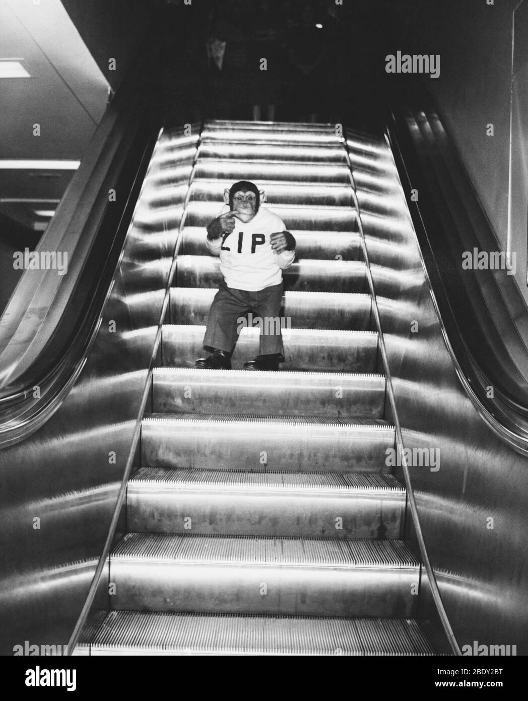 1960s work hi-res stock photography and images - Alamy