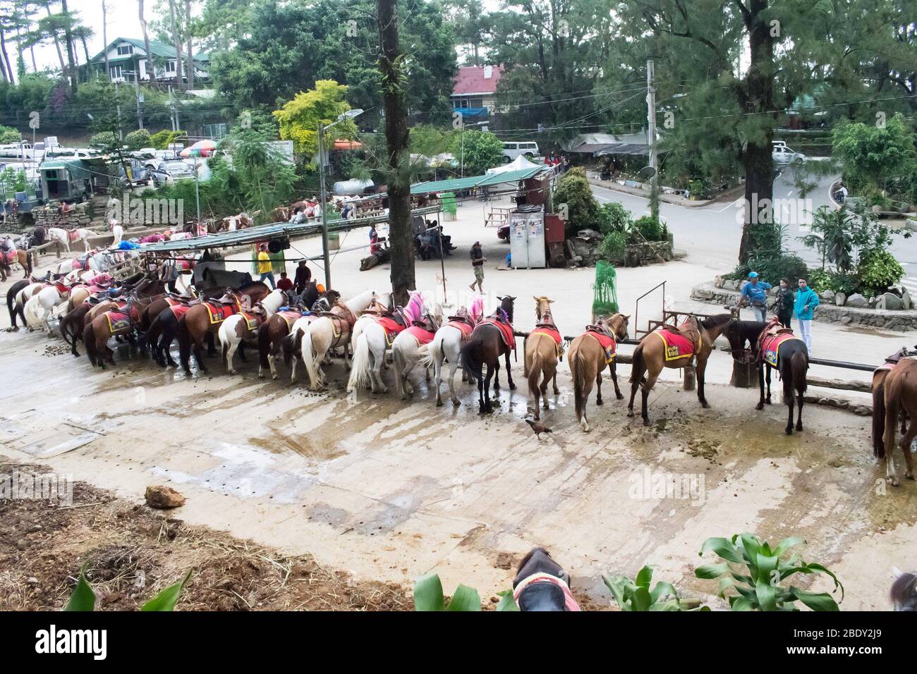 June 5, 2019-Baguio City, Philippines : Entire view of the wright park ...