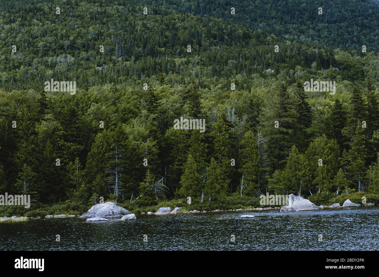 Baxter State Park, Maine Stock Photo - Alamy