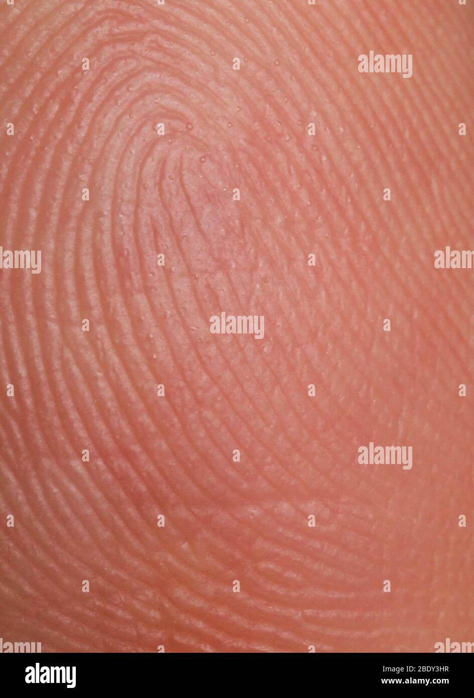 Body Identification High Resolution Stock Photography and Images - Alamy