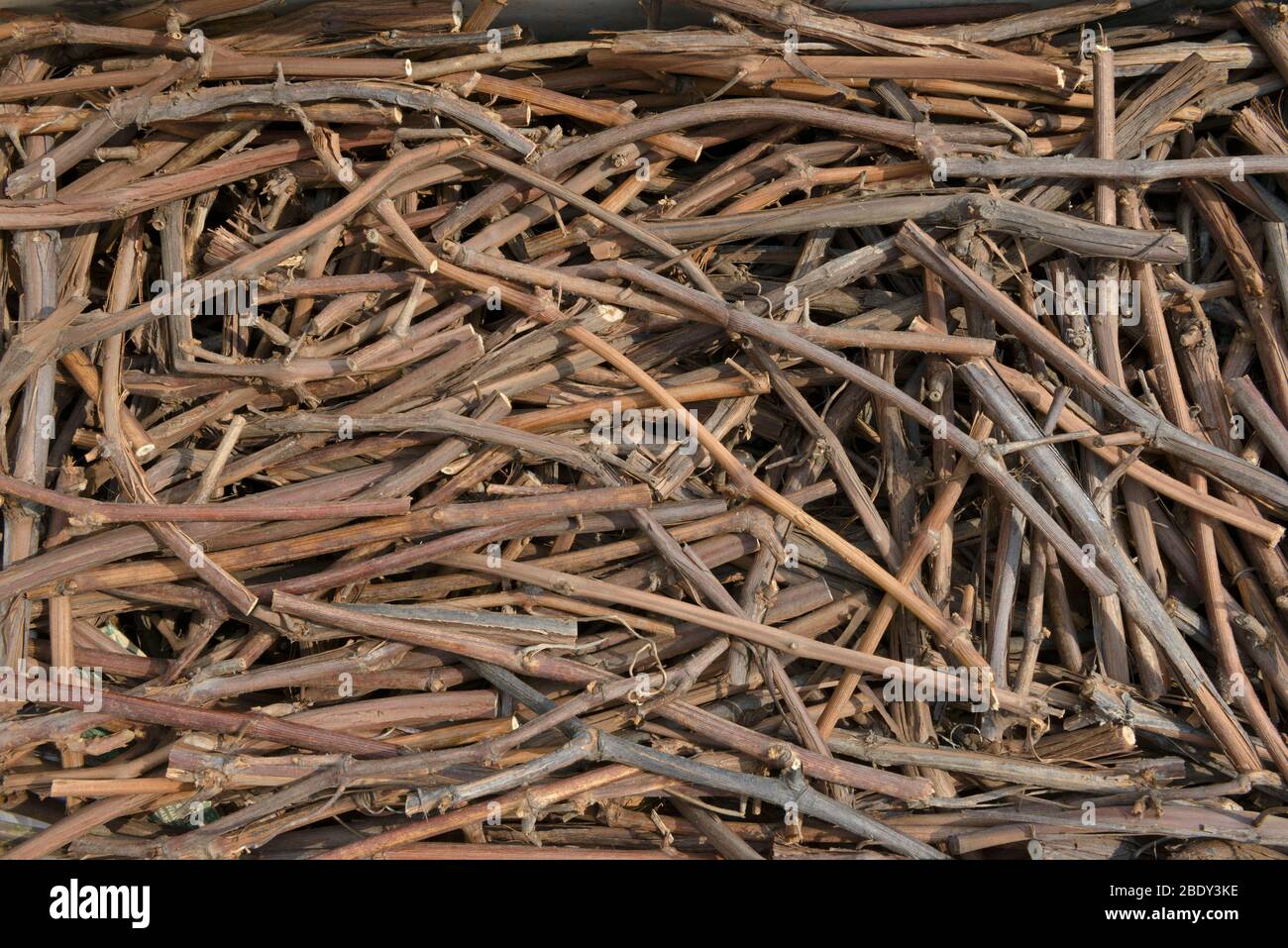 Orthogonal texture hi-res stock photography and images - Alamy