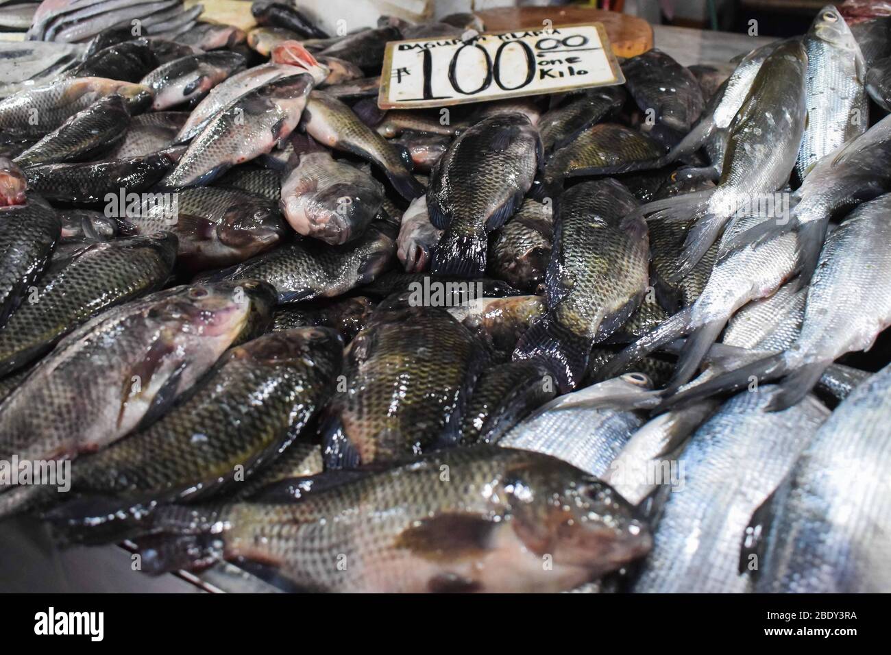 Fresh fish piled on a table for sale at a fish market in the ...