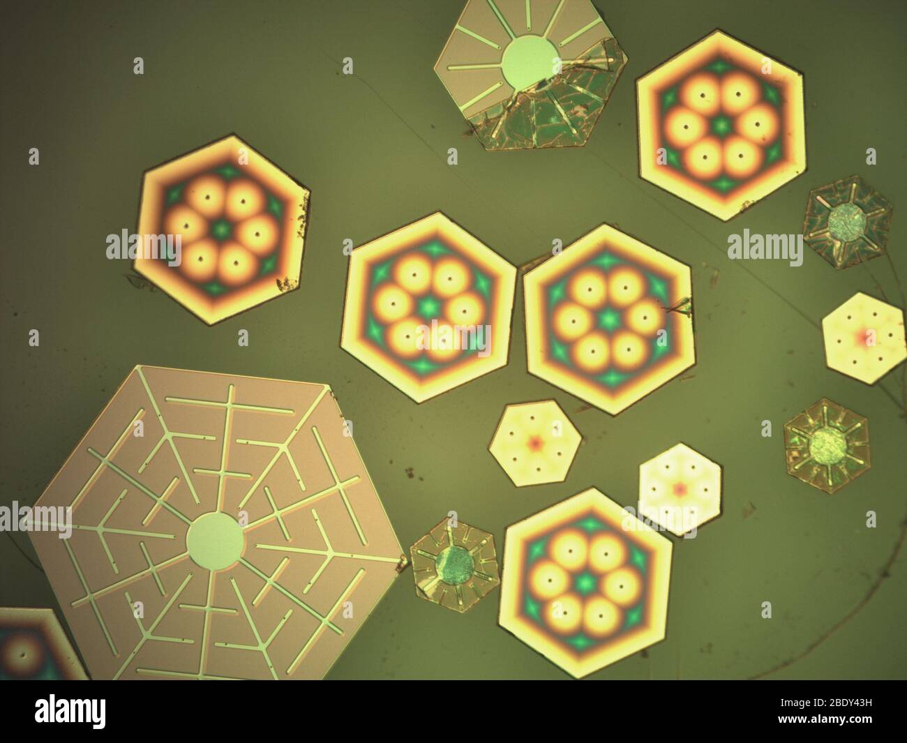 Crystalline-Silicon Photovoltaic Cells Stock Photo - Alamy