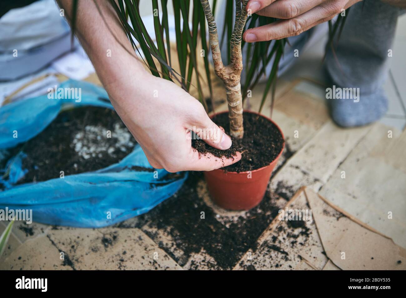 Body part person plant hi-res stock photography and images - Alamy