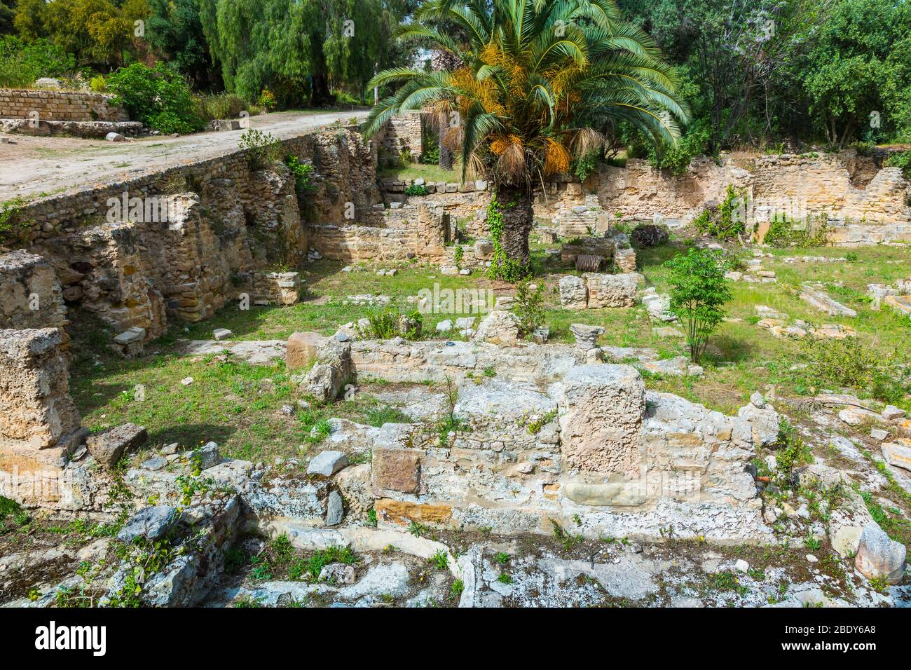 Roman ruins. Carthage. Tunisia, Africa Stock Photo - Alamy