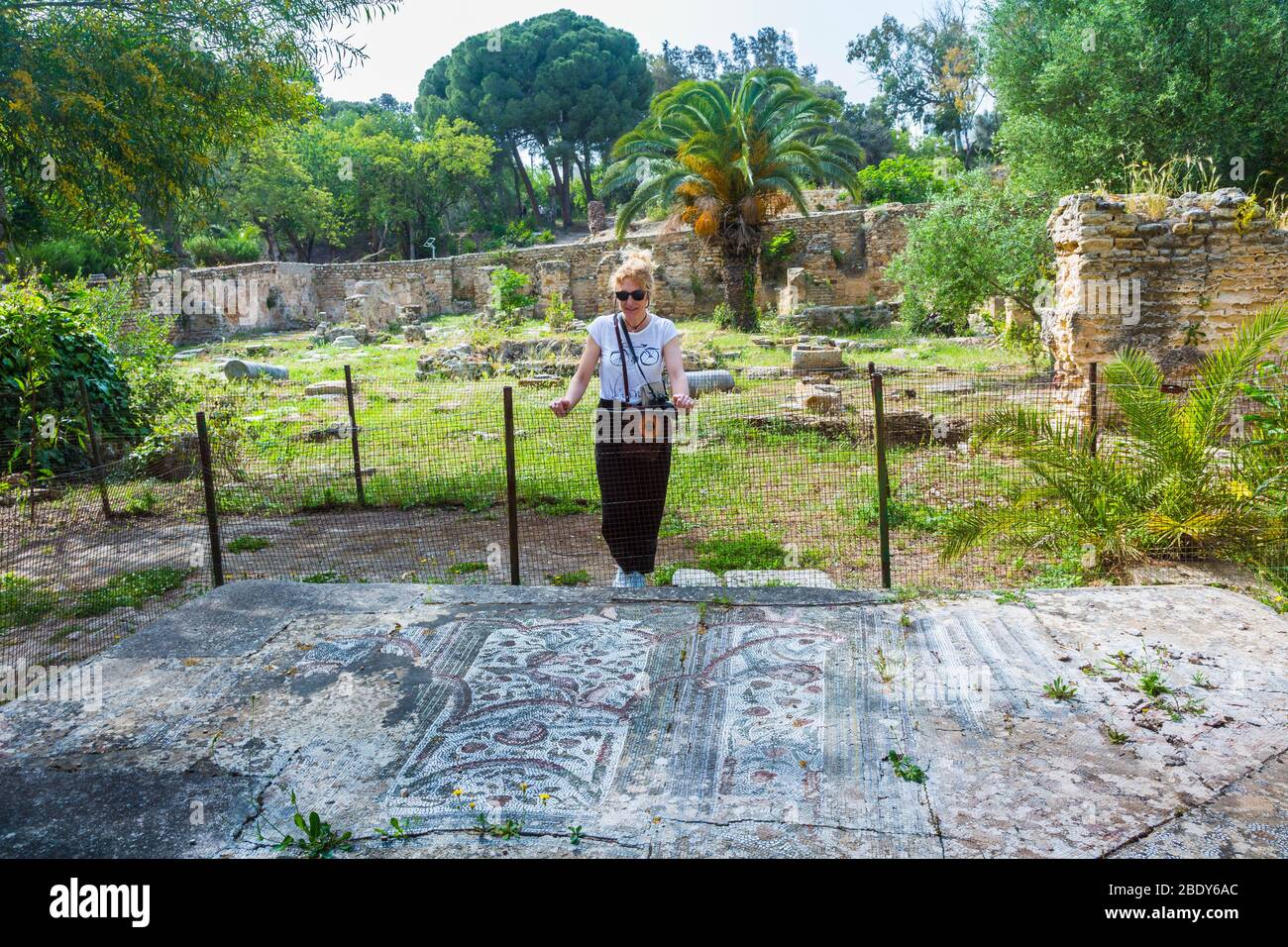 Roman ruins. Carthage. Tunisia, Africa Stock Photo - Alamy