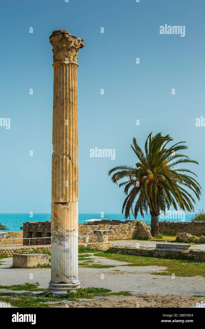 Carthage roman columns hi-res stock photography and images - Alamy