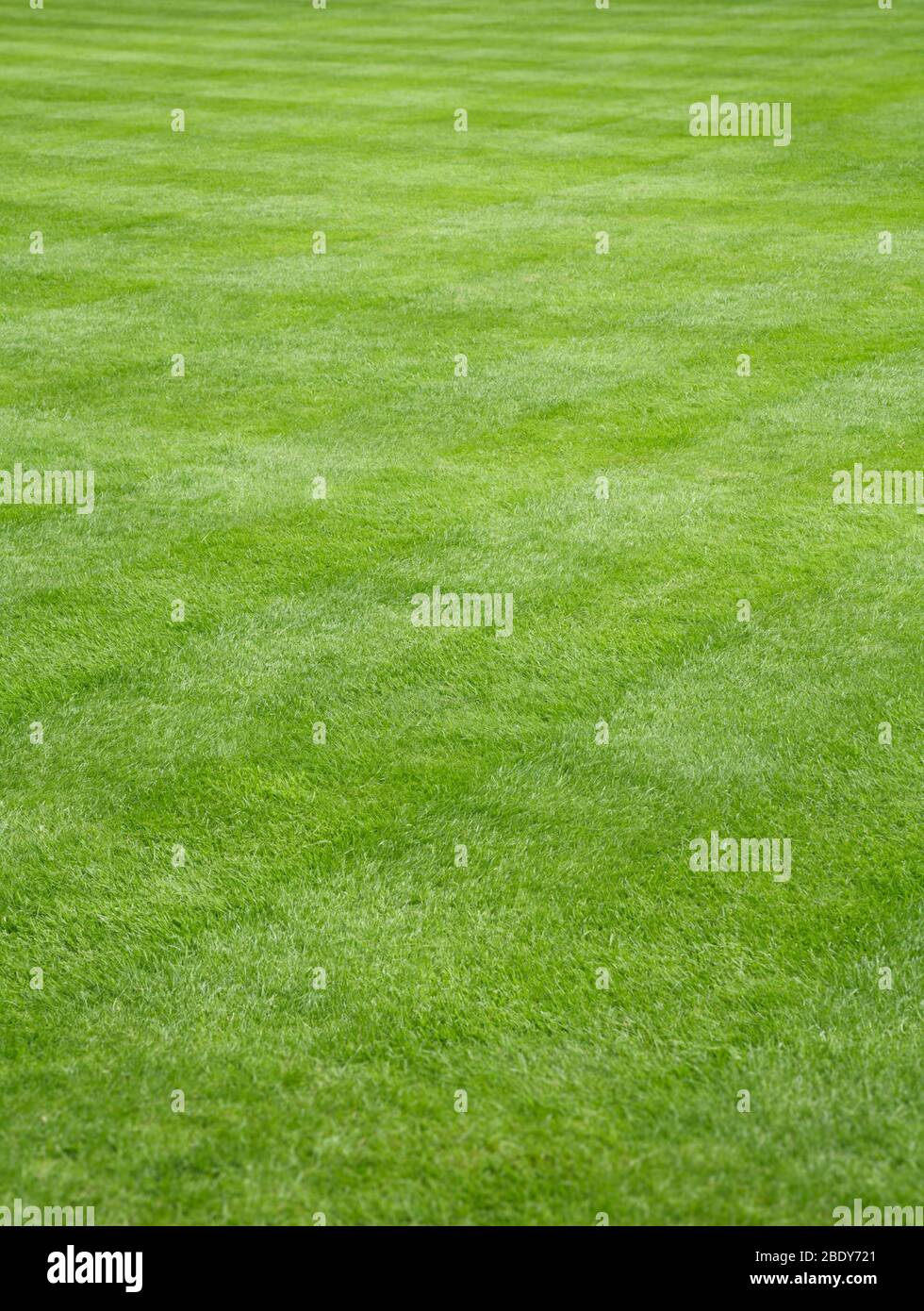 Backyard garden with beautiful fresh cut green grass, depicting lawn ...