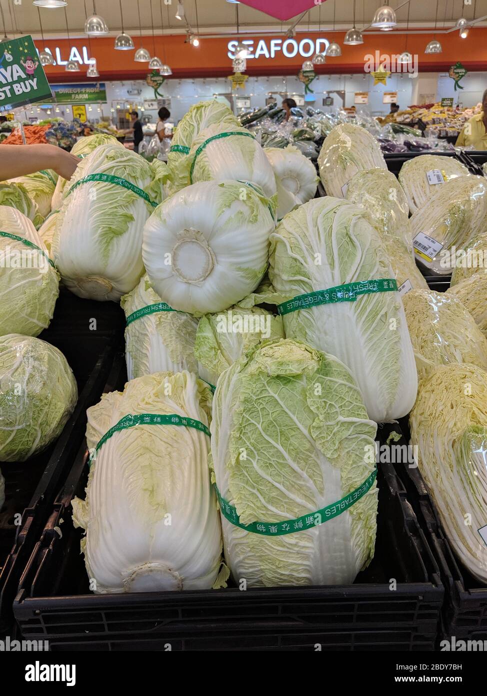 APRIL 12, 2019-SINGAPORE SINGAPORE : Close up of savoy cabbage (a green ...