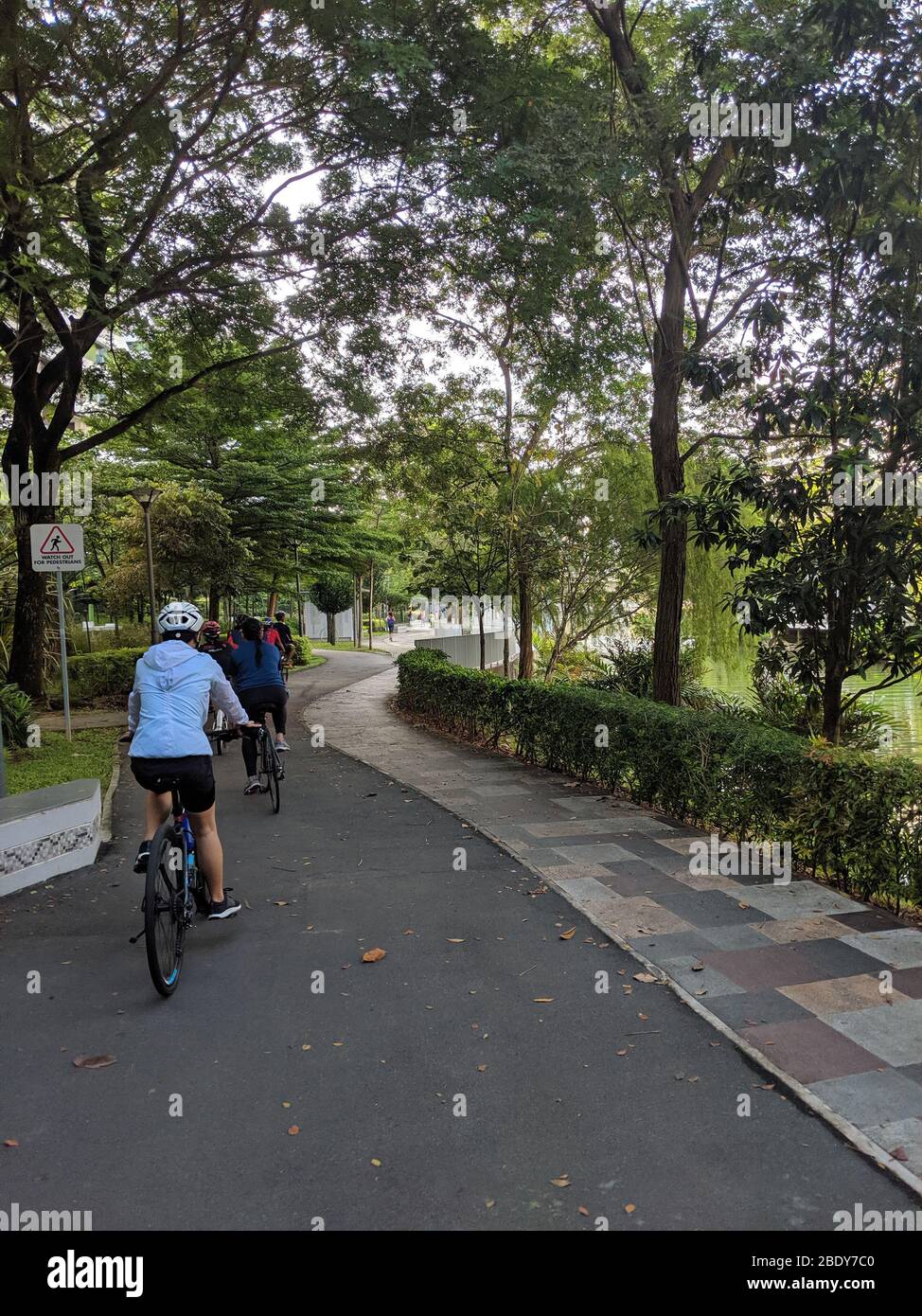 Group of people biking to a forest. Recreational activity for a group ...
