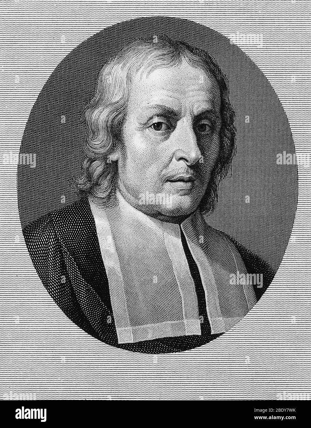 Marcello malpighi hi-res stock photography and images - Alamy