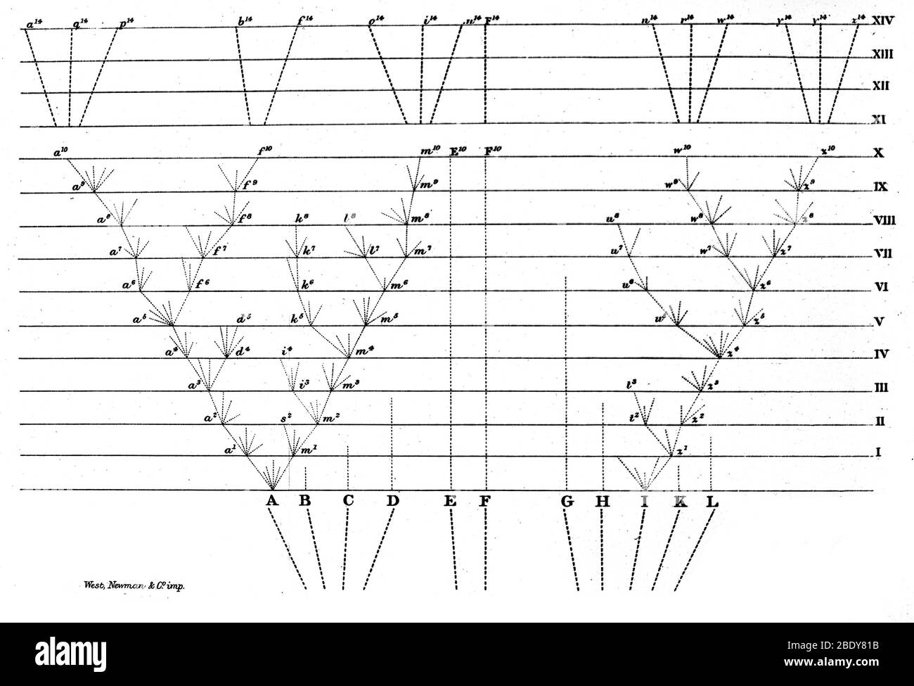 Biology and evolution hi-res stock photography and images - Alamy