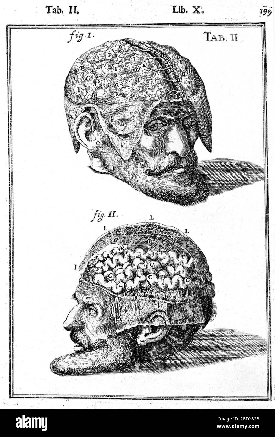 1600s medical illustration Black and White Stock Photos & Images - Alamy