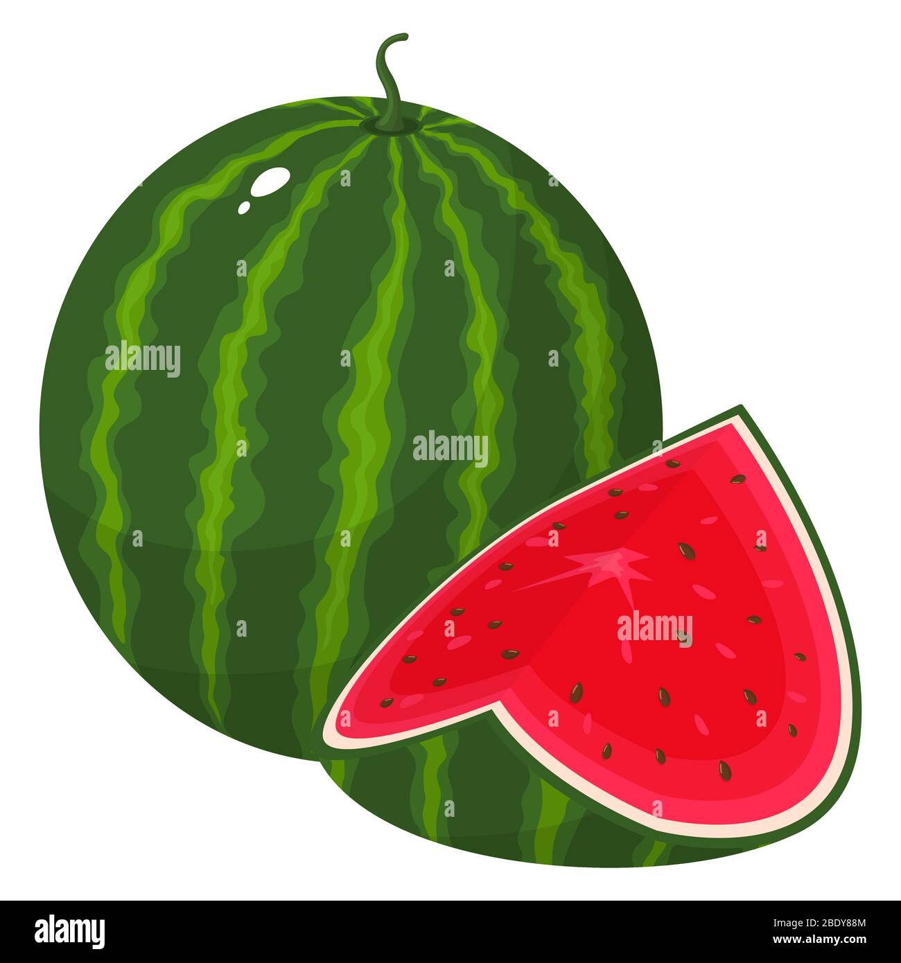 Fresh whole and cut slice watermelon fruit isolated on white background ...