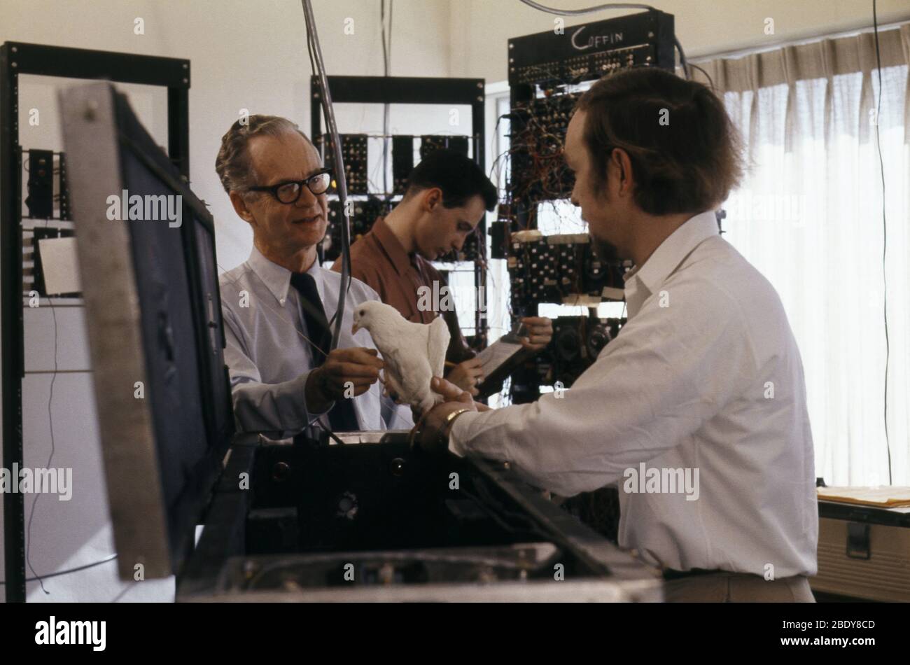 B f skinner hi-res stock photography and images - Alamy