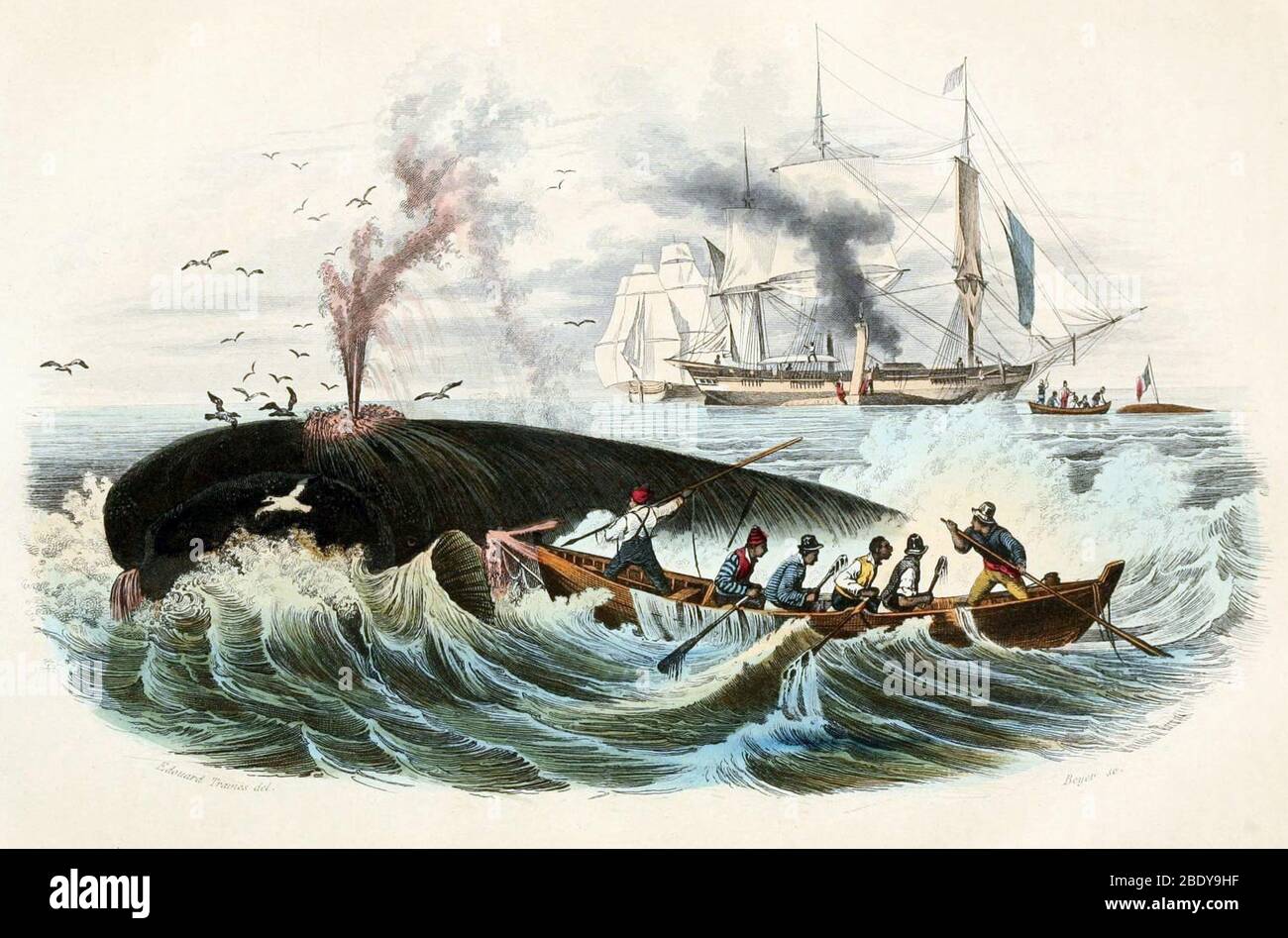 Whaling ship 19th century hi-res stock photography and images - Alamy