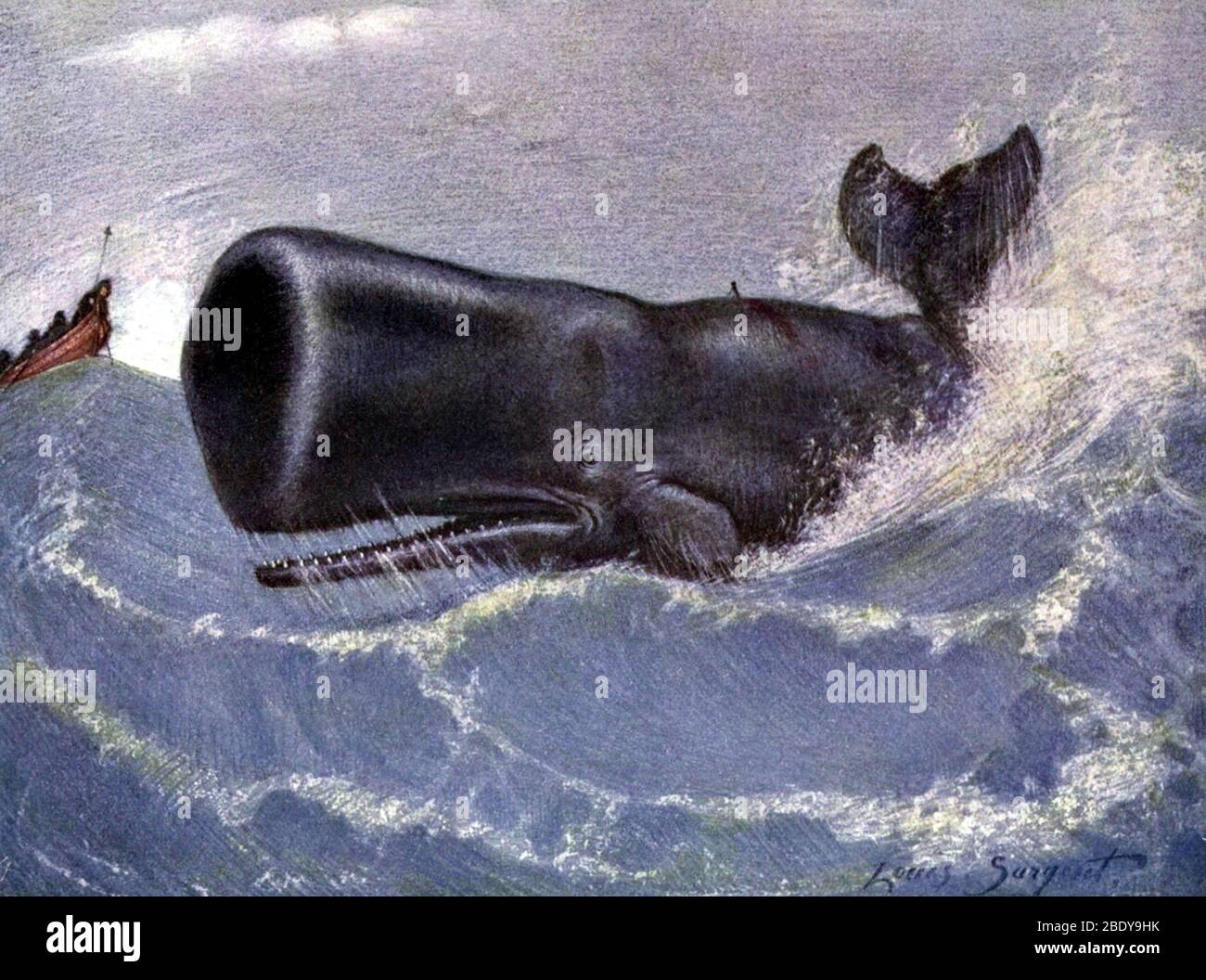 Whaling, Sperm Whale, 20th Century Stock Photo - Alamy